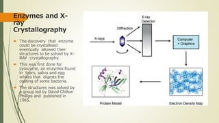 History of enzymes. | PPTX