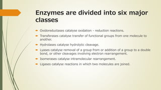 History of enzymes. | PPTX