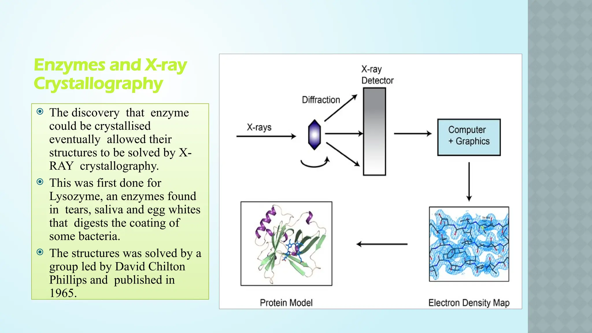 historyofenzymes-171115191628 (1) (1).pptx