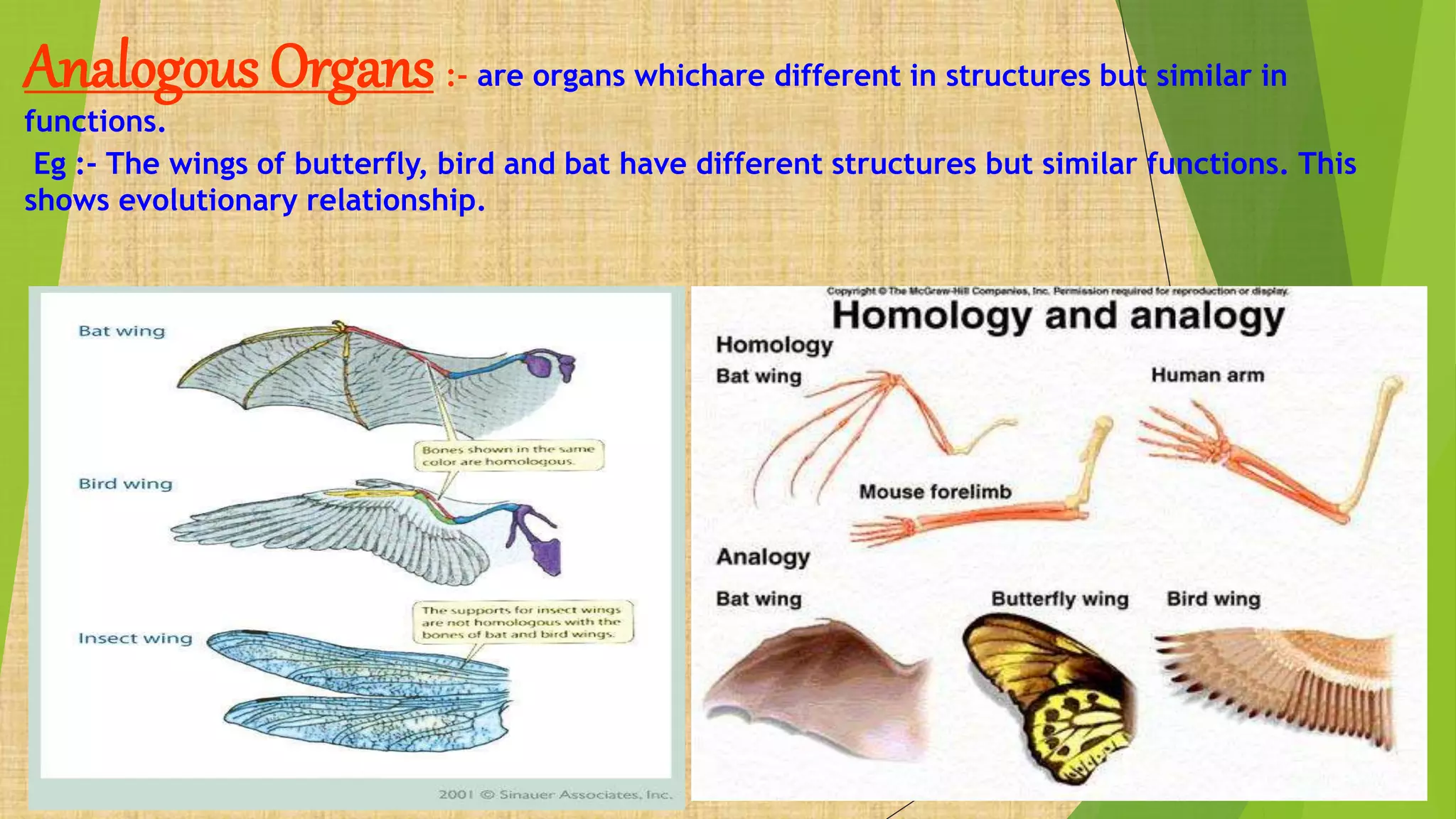 History of evolution | PPTX
