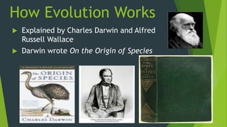 History of evolution | PPTX
