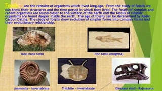 History of evolution | PPTX