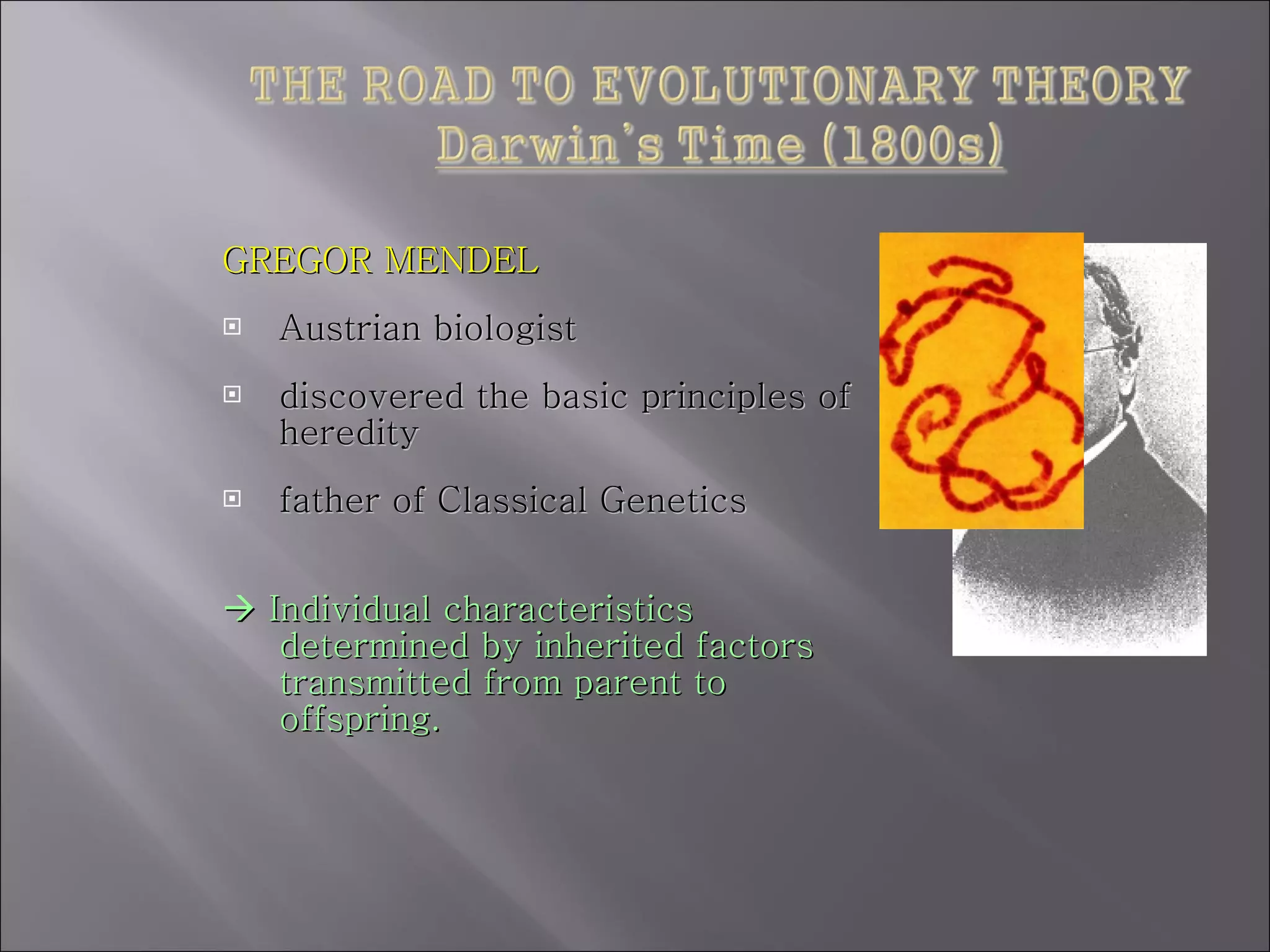 History of evolutionary thought | PPT