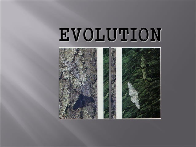 History of evolutionary thought | PPT | Geology | Science