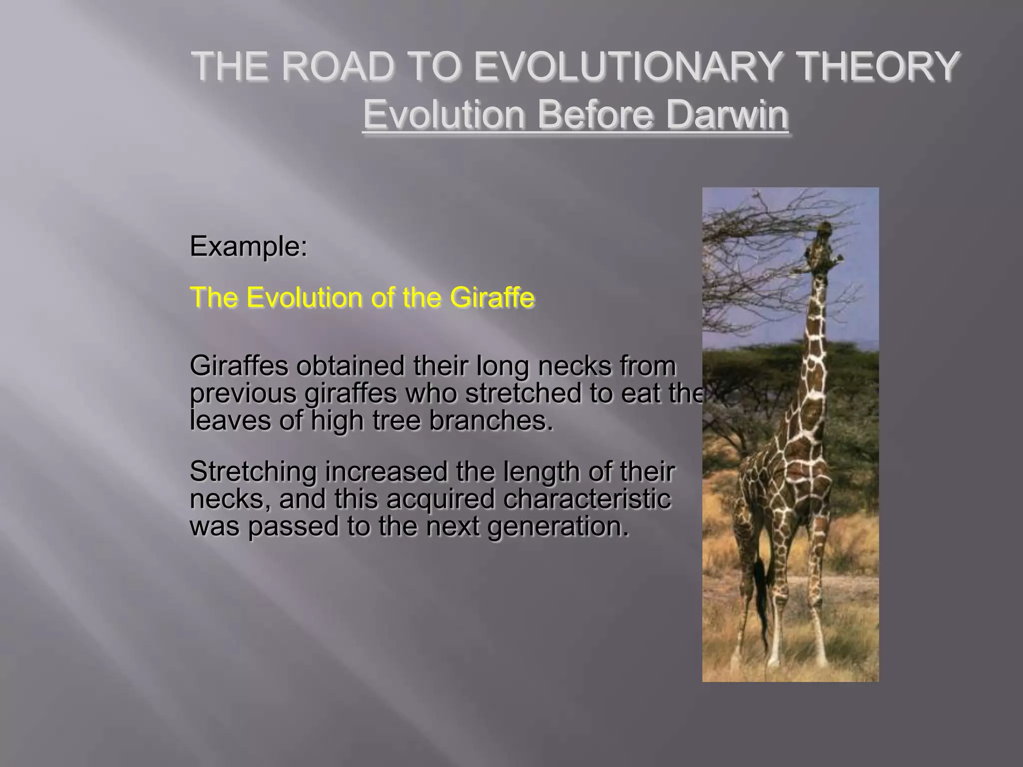 History of evolutionary thought | PPTX