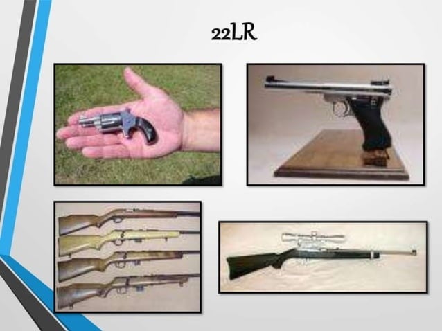 History of Firearms by national forensic science university | PPTX