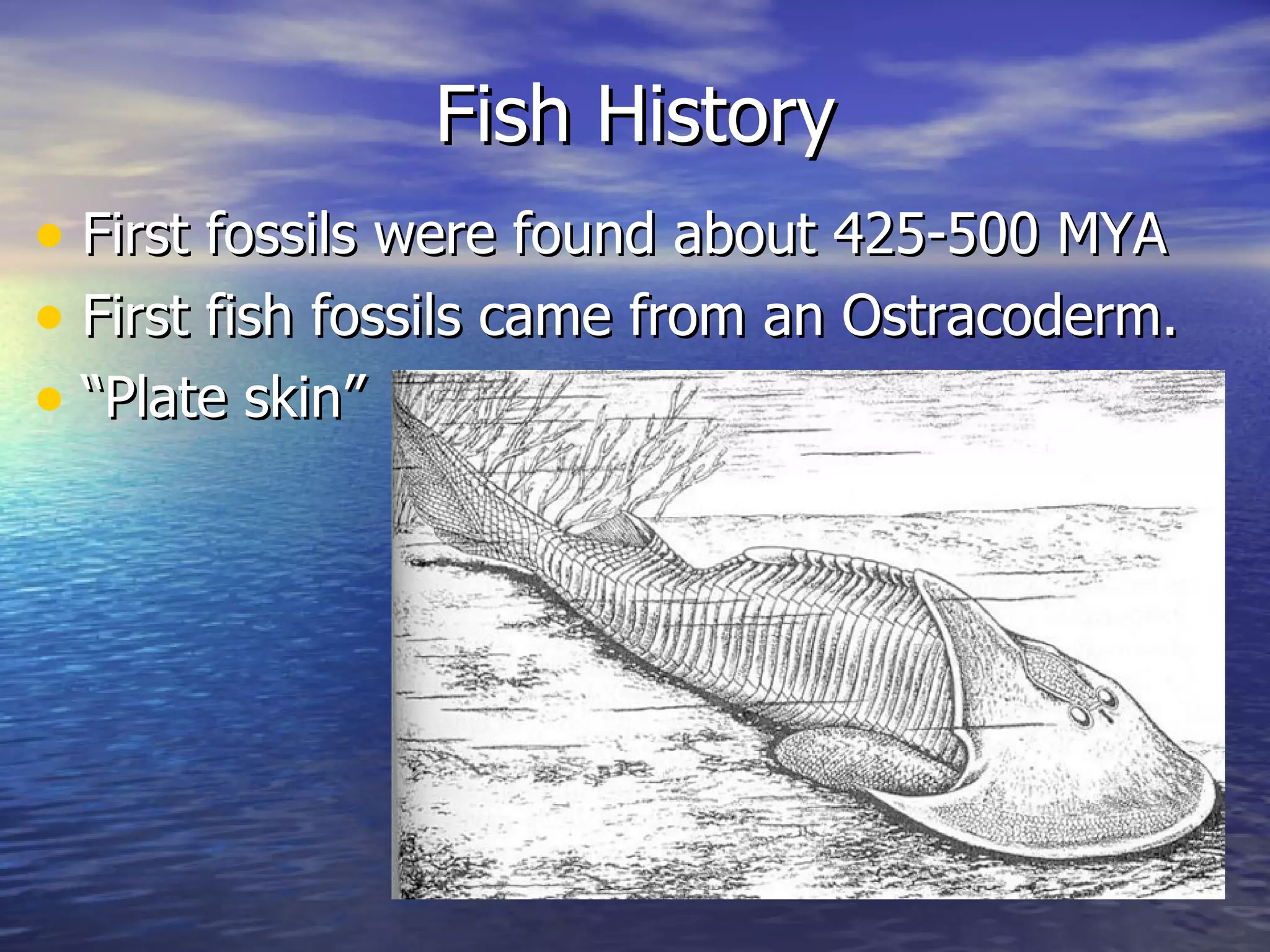 History of fish notes | PPT