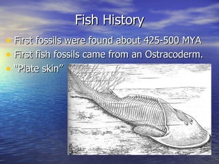 History of fish notes | PPT
