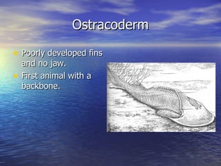 History of fish notes | PPT