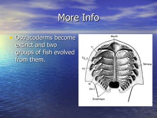 History of fish notes | PPT