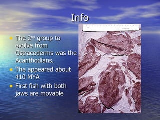 History of fish notes | PPT