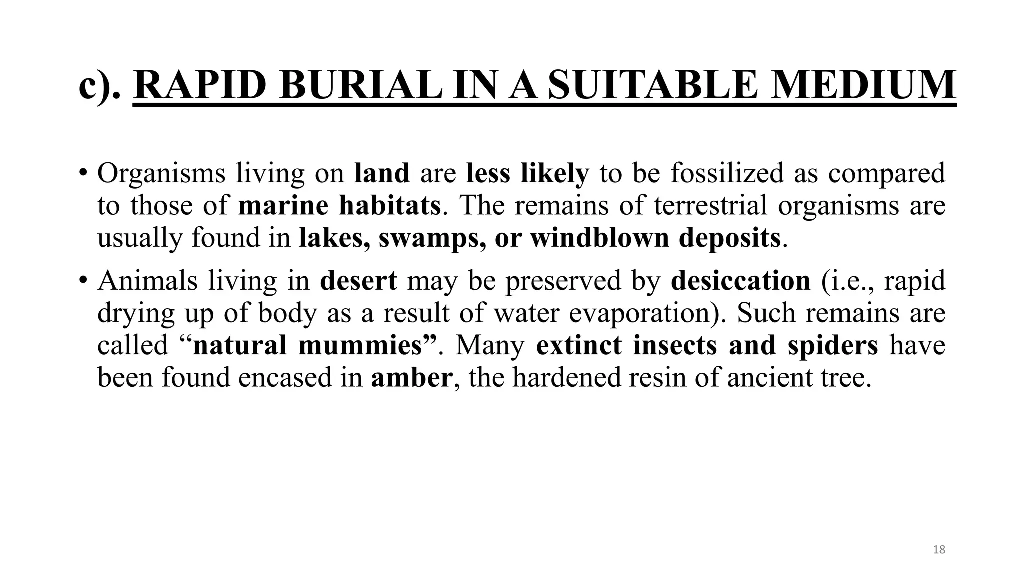 History Of Fossils Process Of Fossilization Pdf