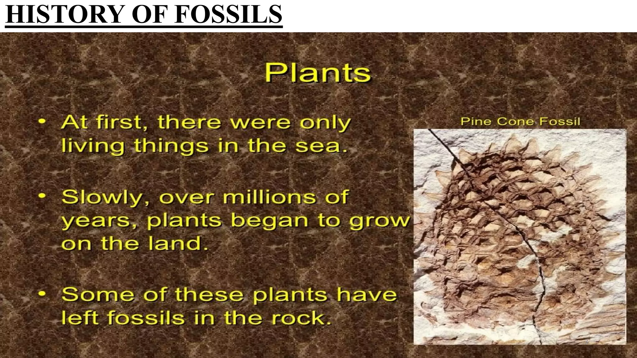 History of fossils; process of Fossilization | PDF