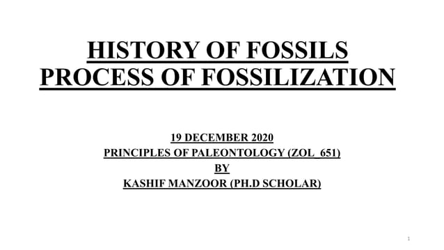 History of fossils; process of Fossilization | PDF | Geology | Science