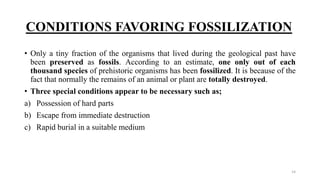 History of fossils; process of Fossilization | PDF