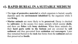 History of fossils; process of Fossilization | PDF