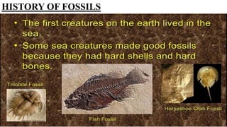 History of fossils; process of Fossilization | PDF
