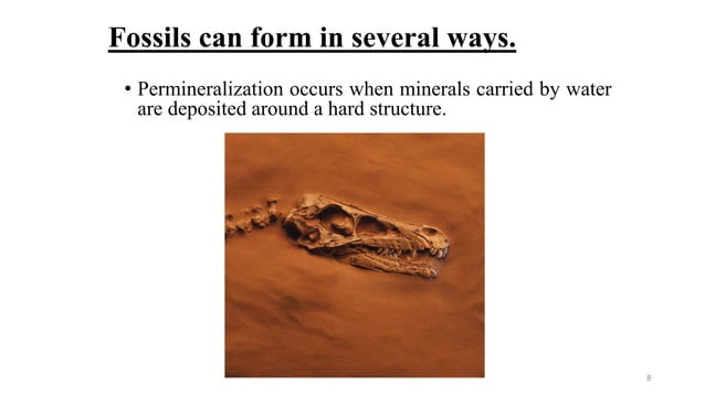 History of fossils; process of Fossilization | PDF | Geology | Science