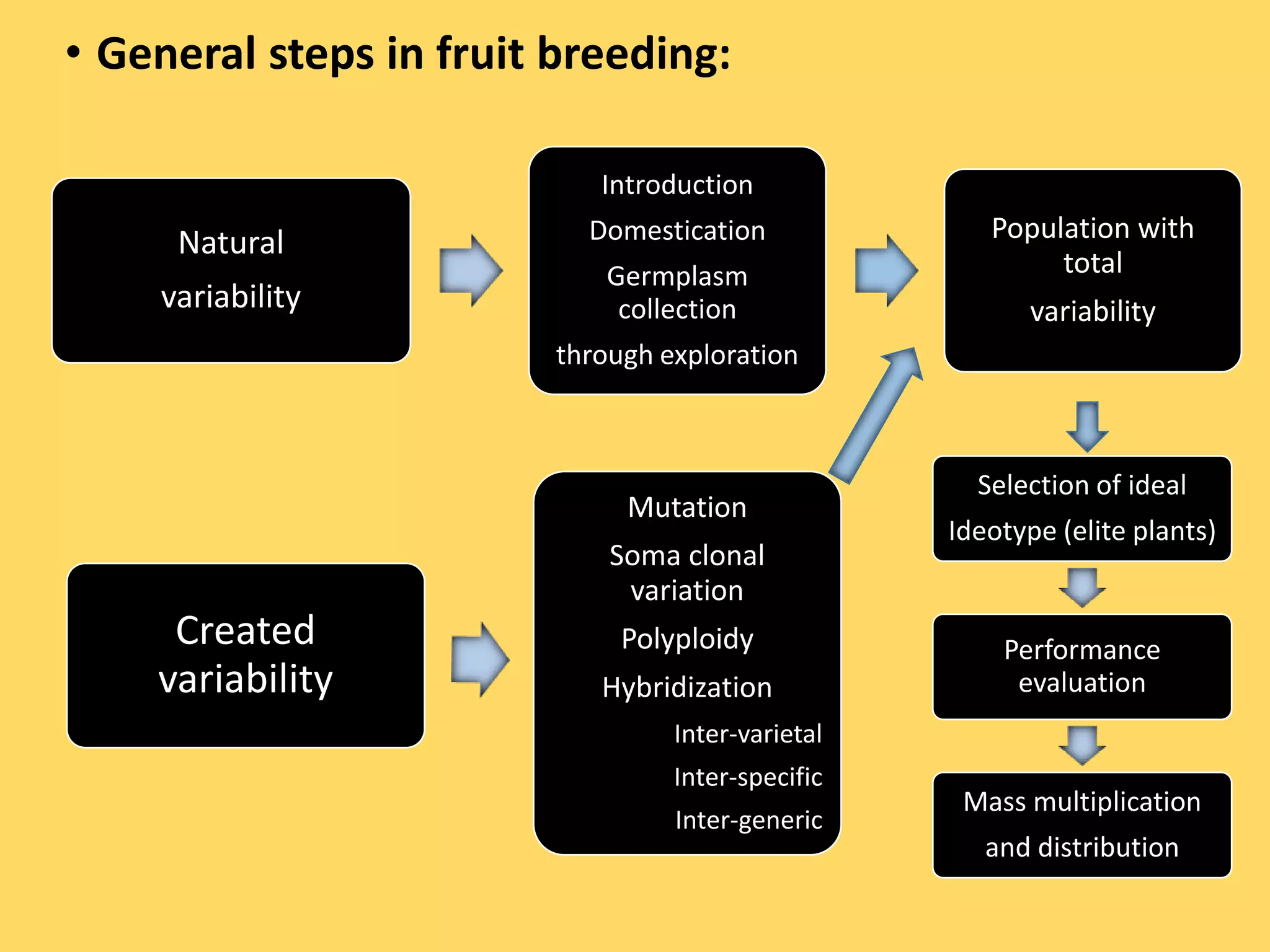 History of fruit breeding | PPTX