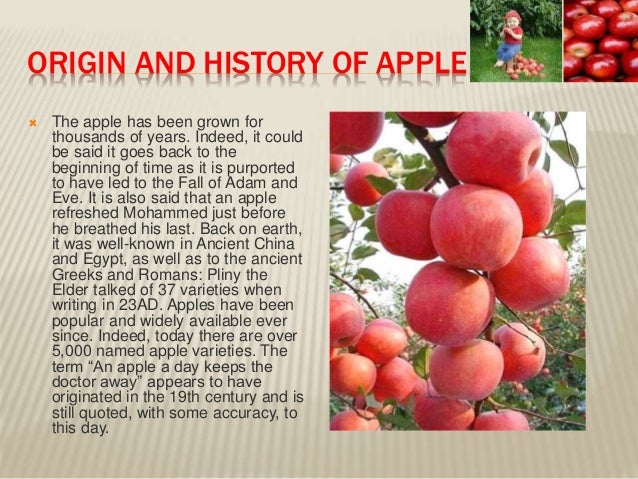 History of fruits By Allah Dad Khan
