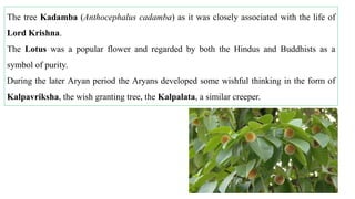 History of garden in india | PPTX