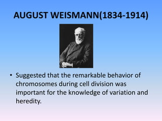 History of genetics | PPTX