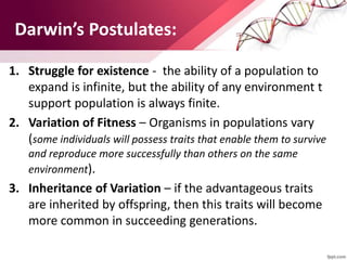 History of genetics. Bio 212 | PPTX