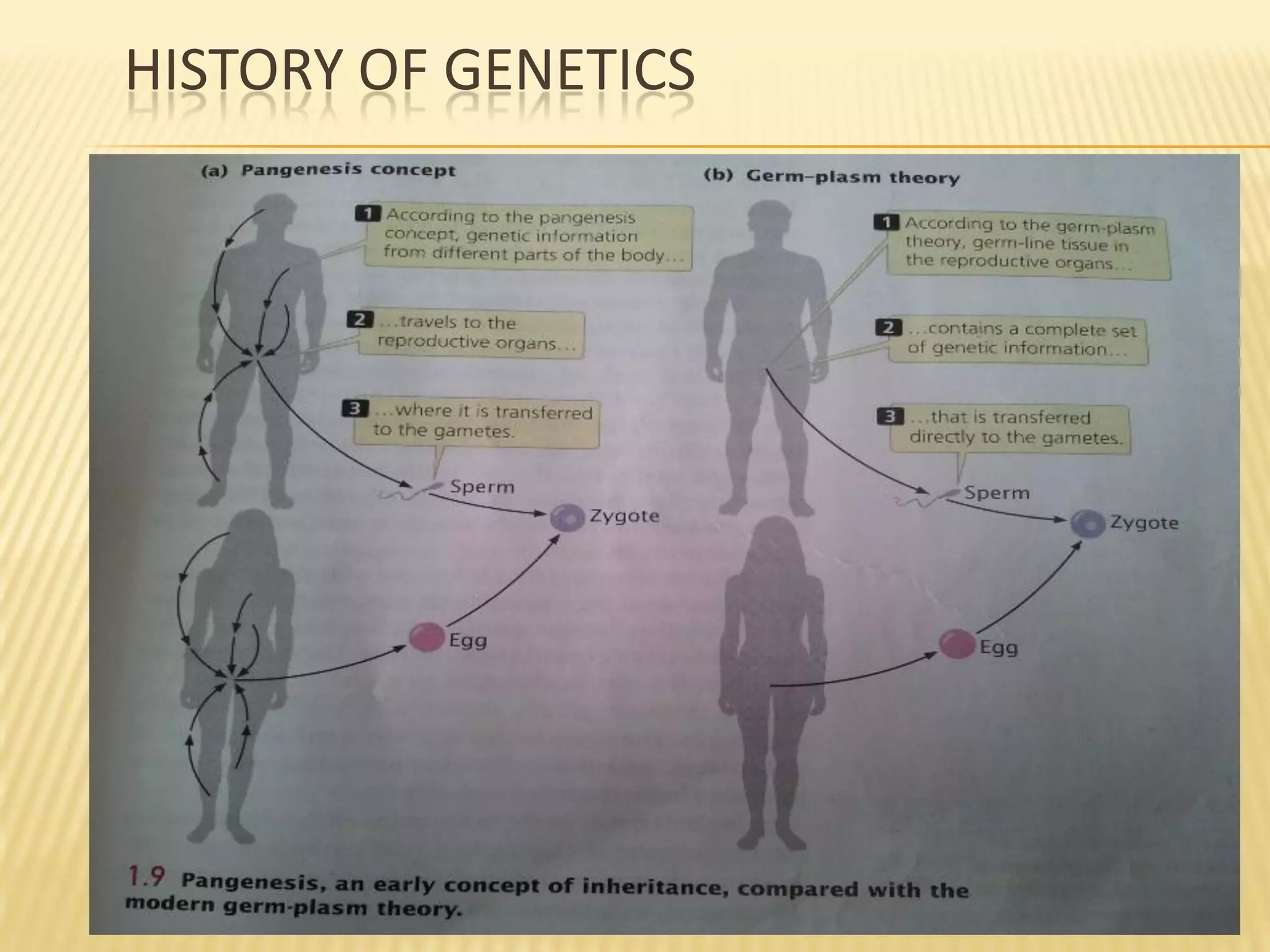 History of genetics (21) .pdf