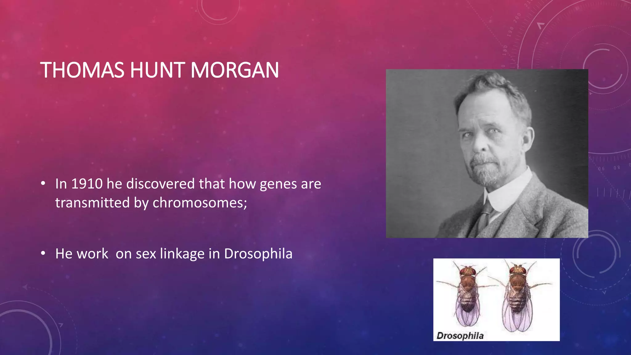 History of Genetics - Post-Mendelian Genetics | PPTX