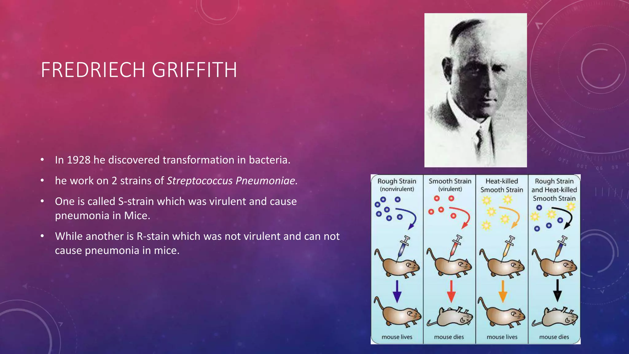 History of Genetics - Post-Mendelian Genetics | PPTX