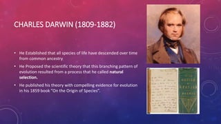 History of Genetics - Post-Mendelian Genetics | PPTX