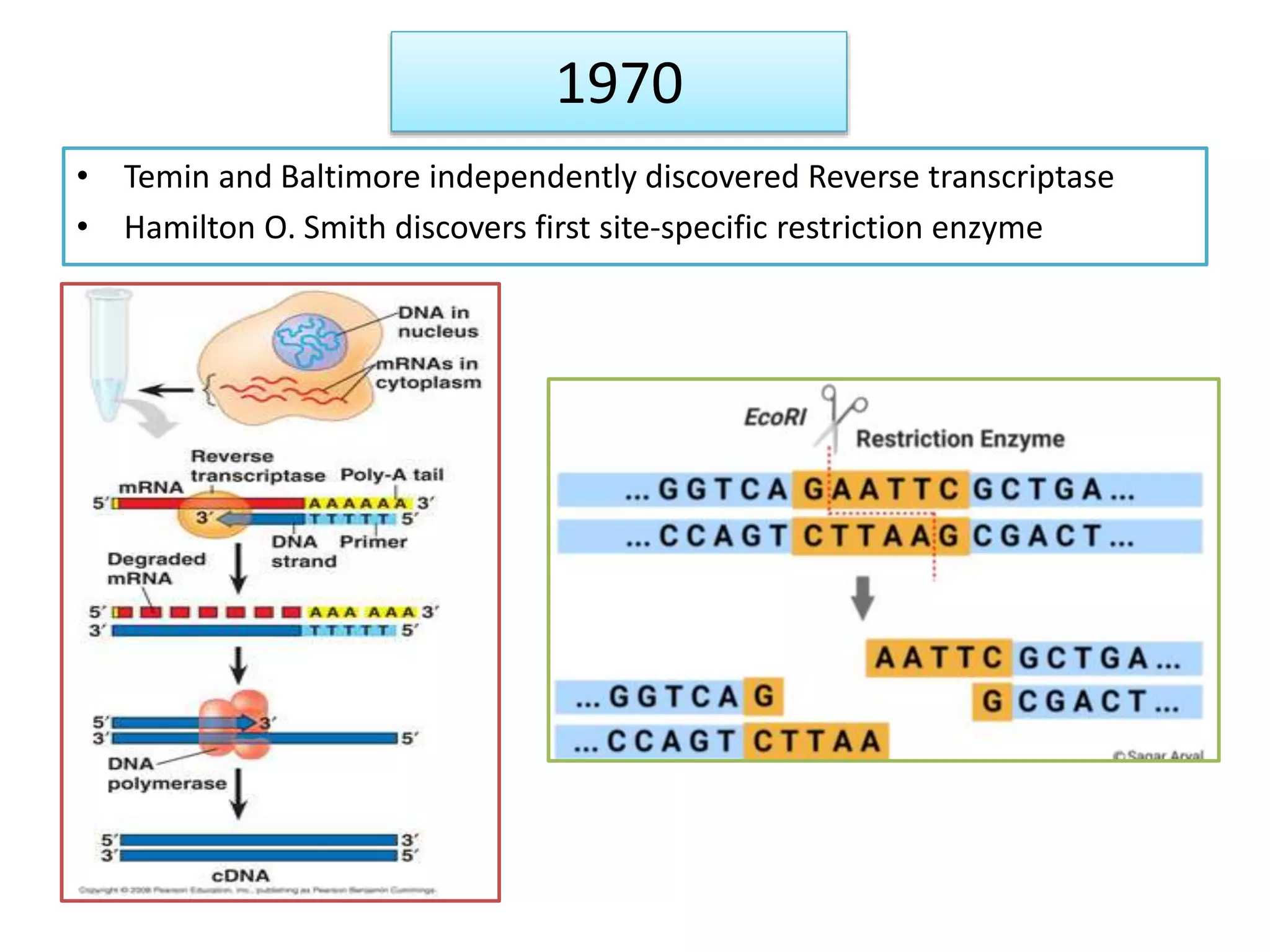 History of Genomics | PPTX
