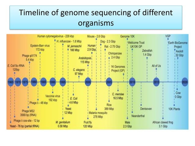 History of Genomics | PPTX | Genetics | Science