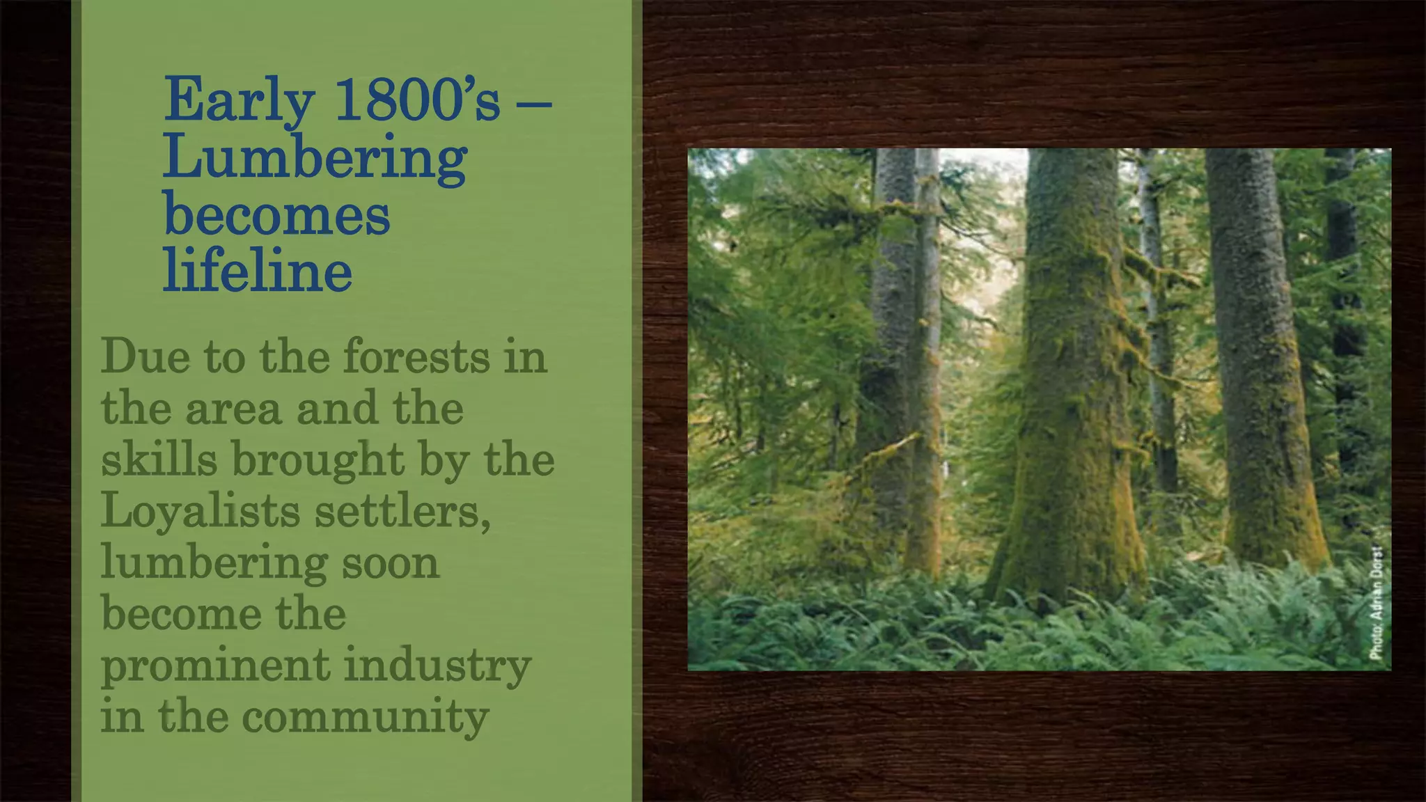 History of Hammonds Plains | PPT