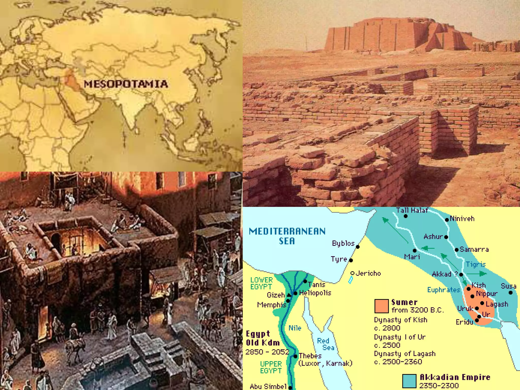 History of human civilization | PPTX