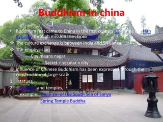 History of human settlement | PPTX