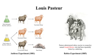 History of immunology | PDF