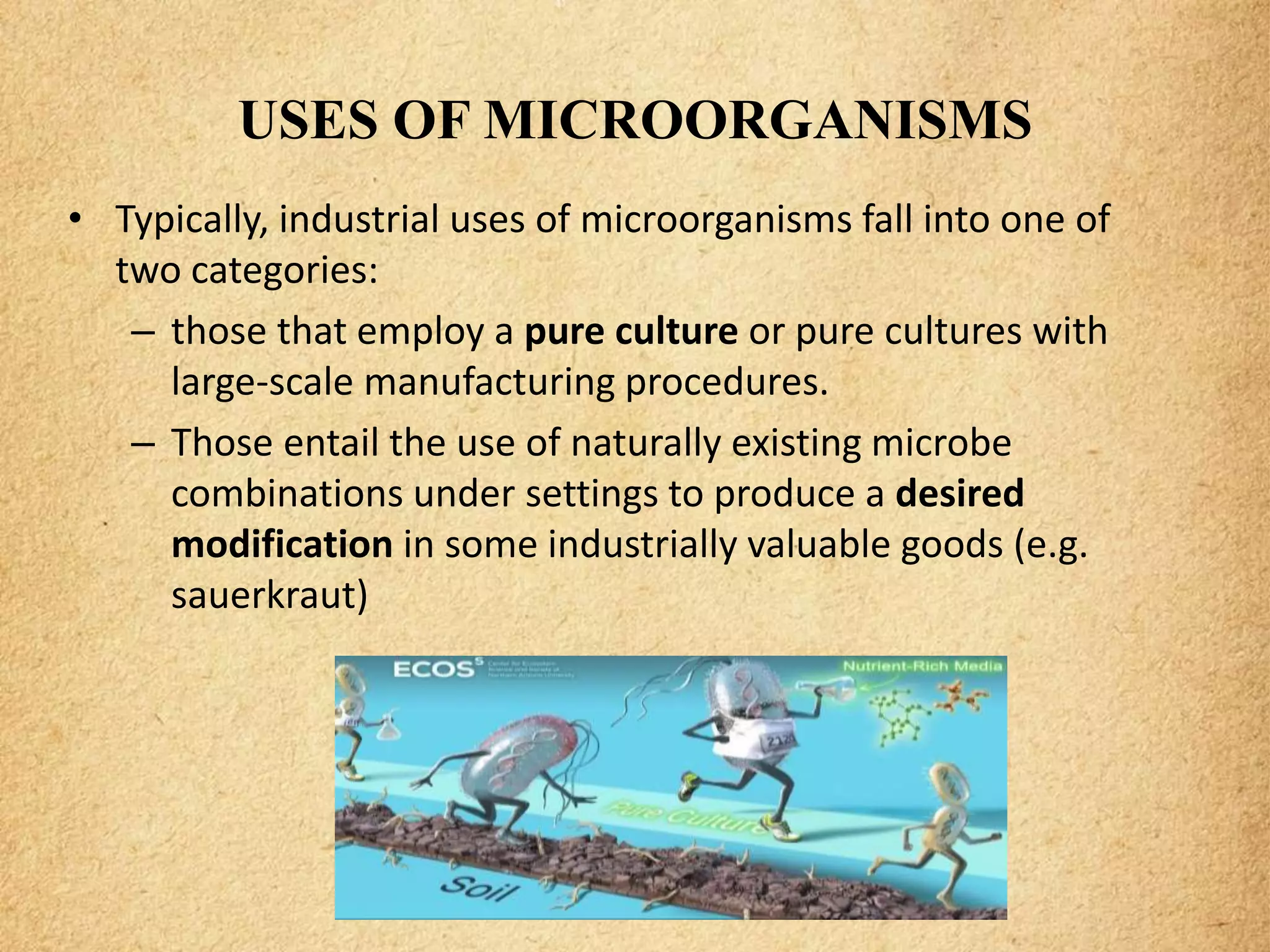 history of industrial microbiology.pptx
