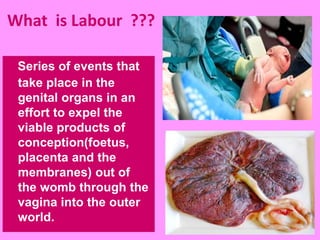 History of Labor | PPTX