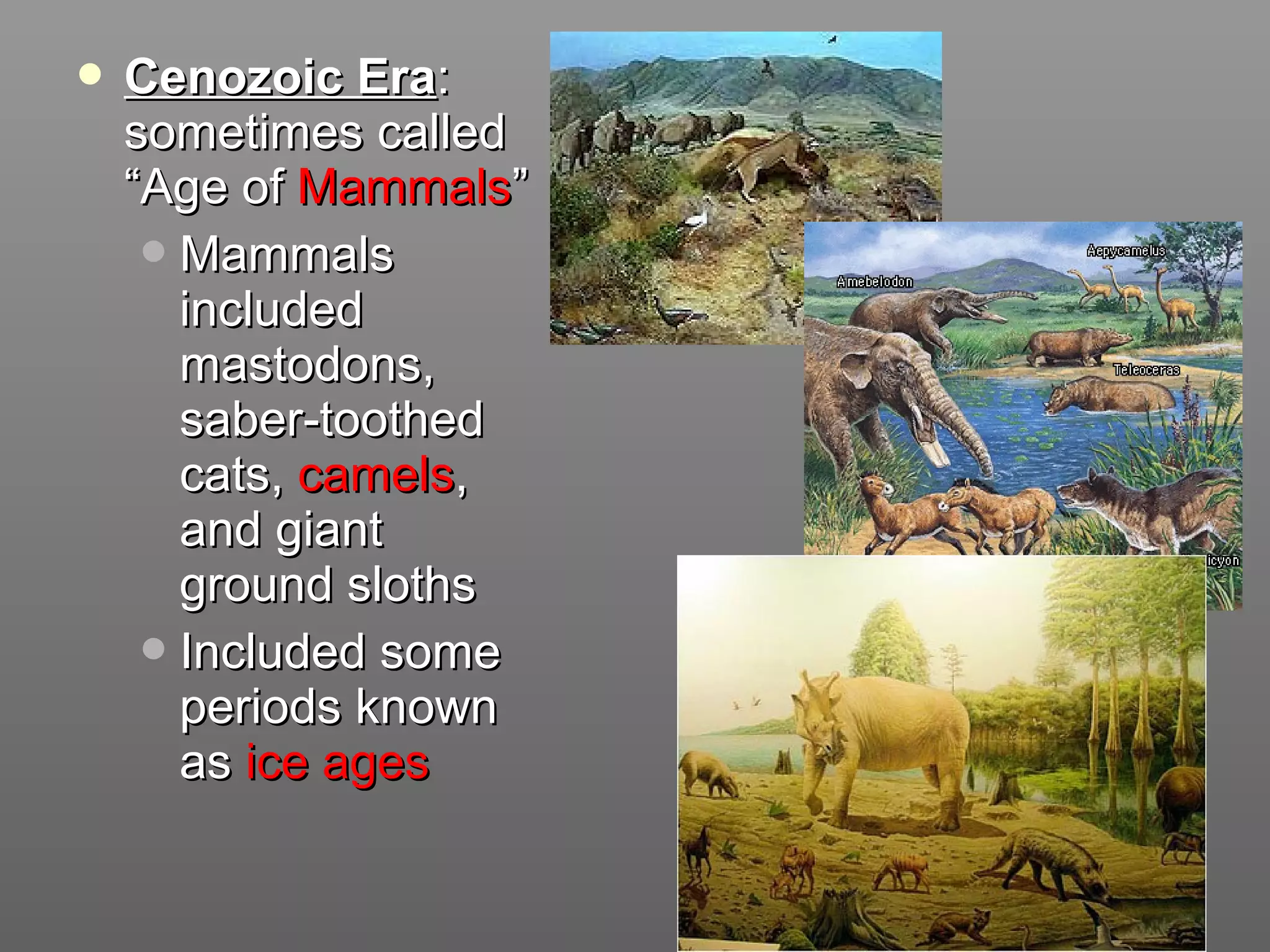 History of life on earth | PPT