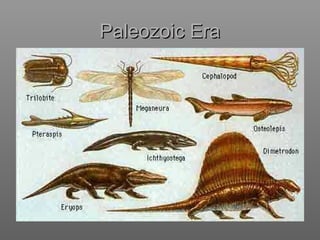 History of life on earth | PPT