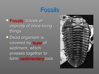 History of life on earth | PPT