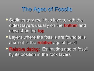 History of life on earth | PPT