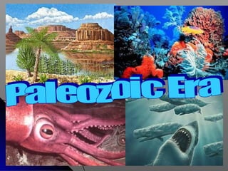 History of life on earth | PPT