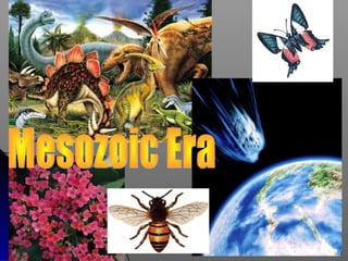 History of life on earth | PPT