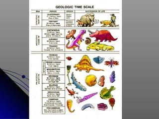 History of life on earth | PPT