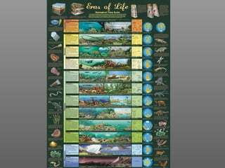 History of life on earth | PPT