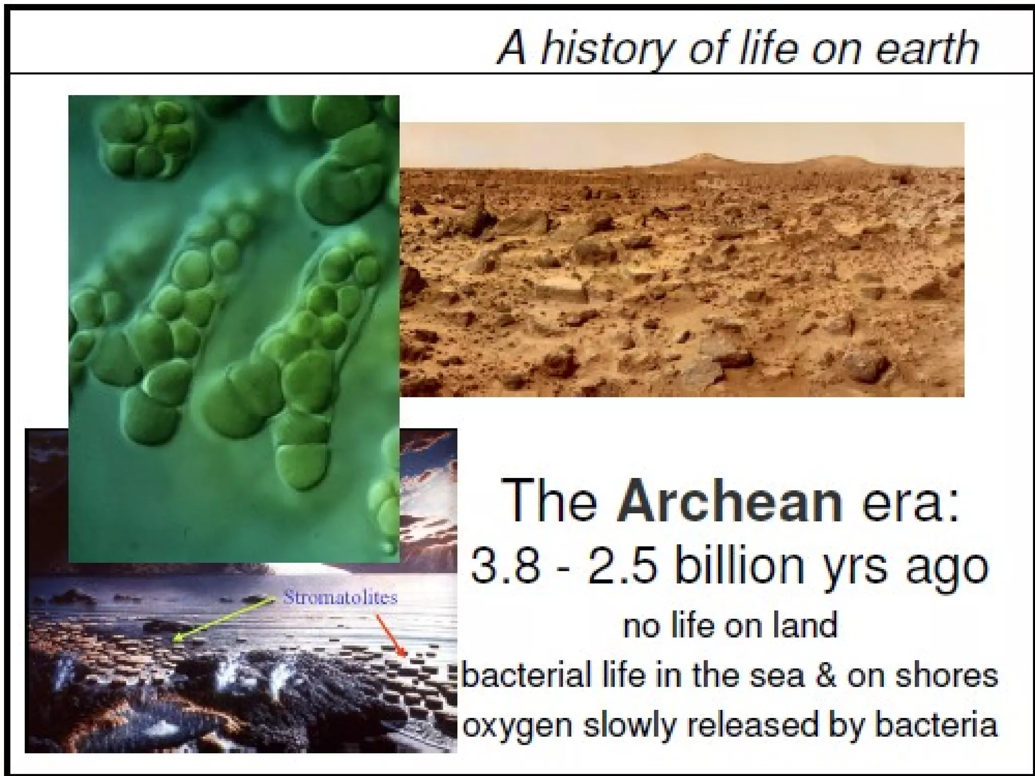 History of life on earth | PPT