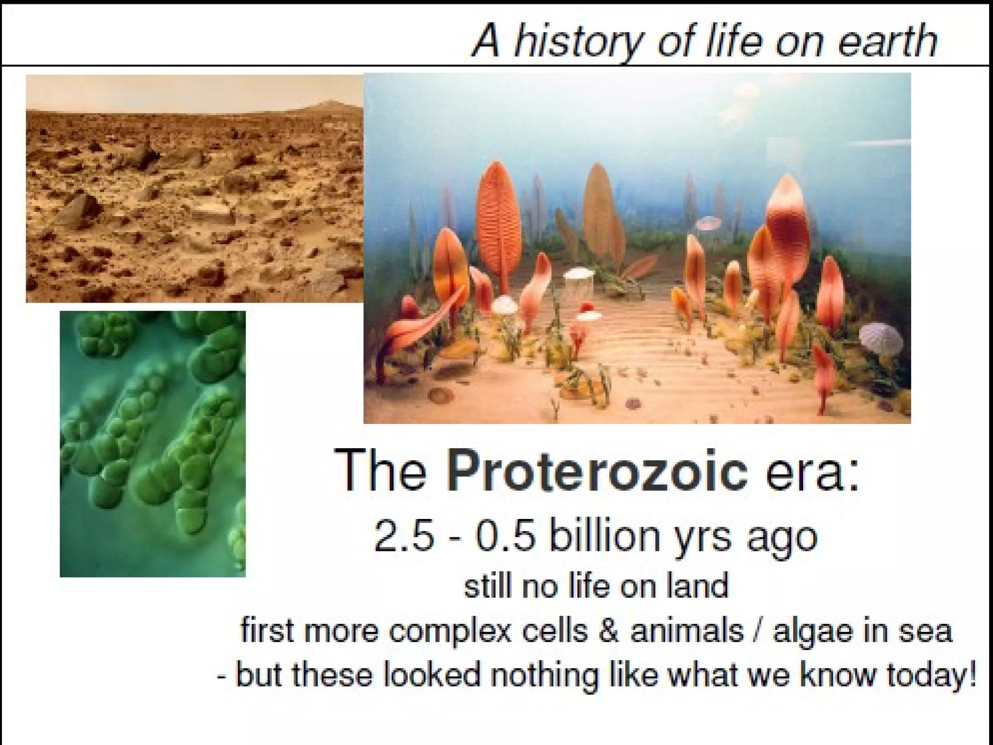 History of life on earth | PPT