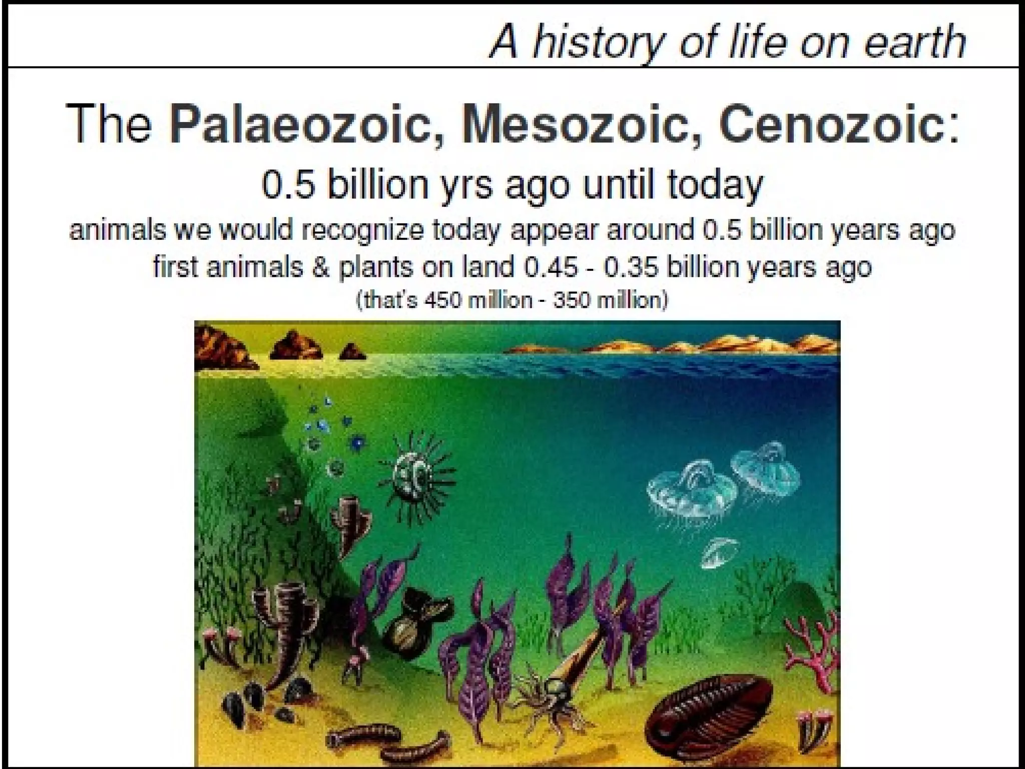 History of life on earth | PPT
